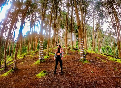 Mini cabañas Campamento el Carajo