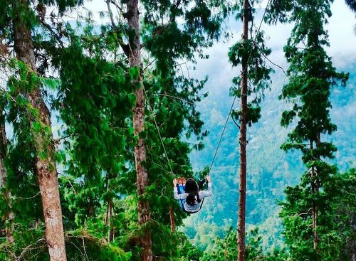 Mini cabañas Campamento el Carajo